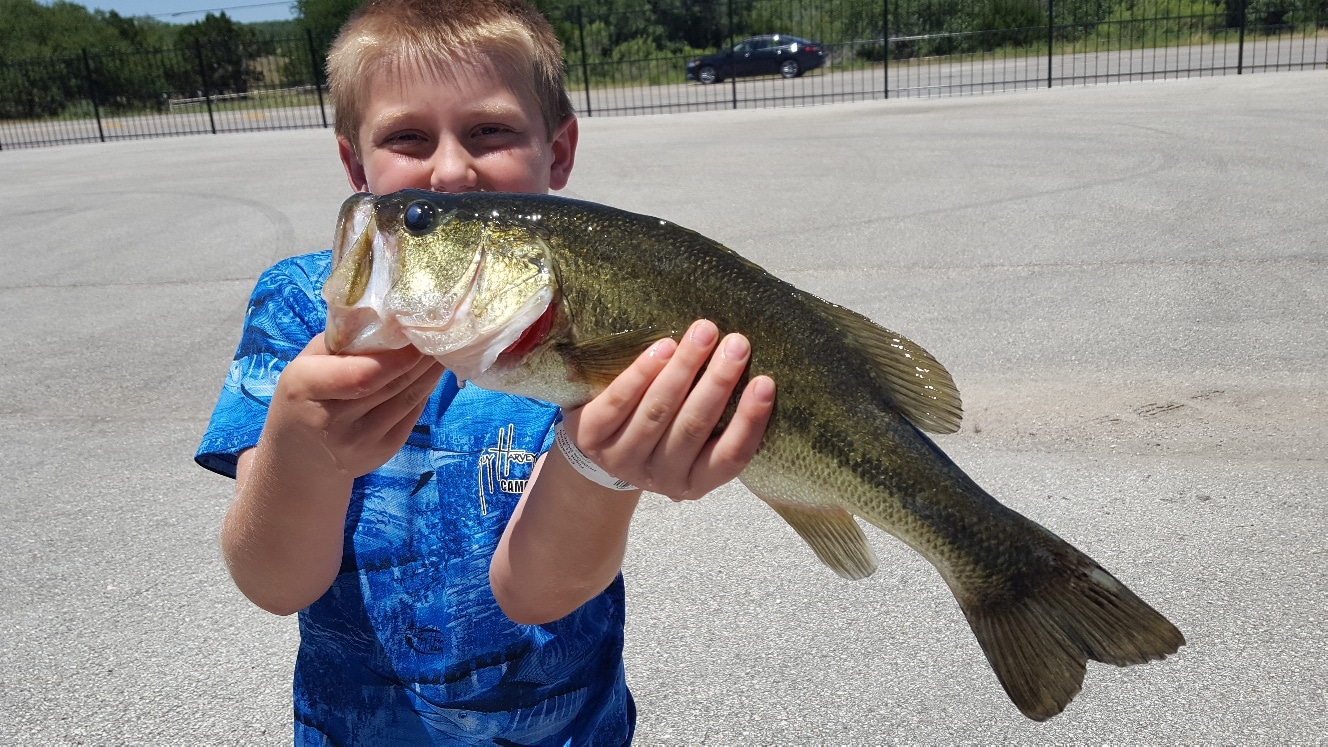 Structure Equals Fish - Hudson's Fishing Adventures